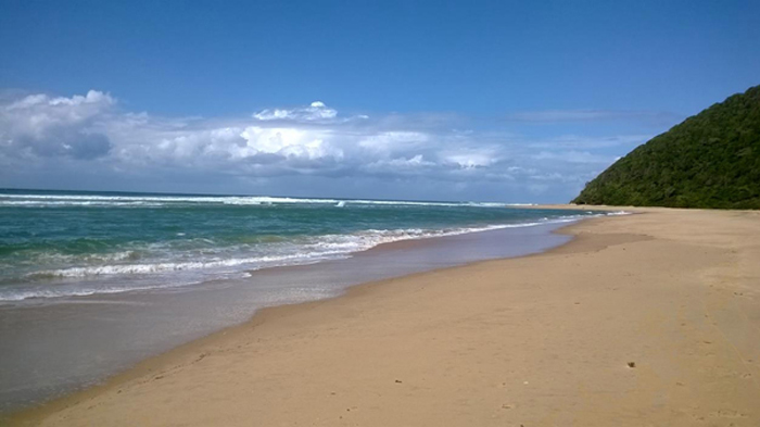 KZN St Lucia whats happening. The good bad and ug | SEALINE - South ...